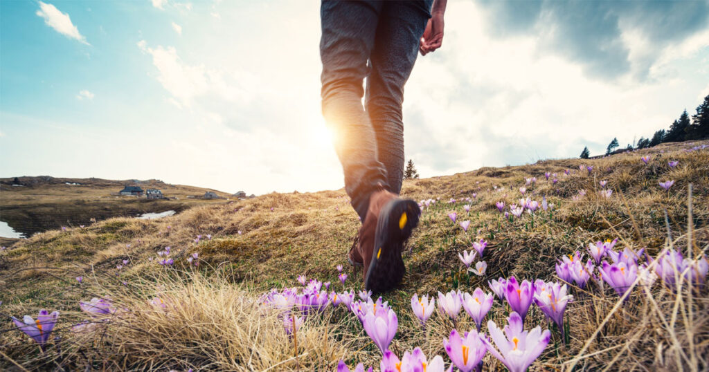 Spring's Connection to Addiction Recovery